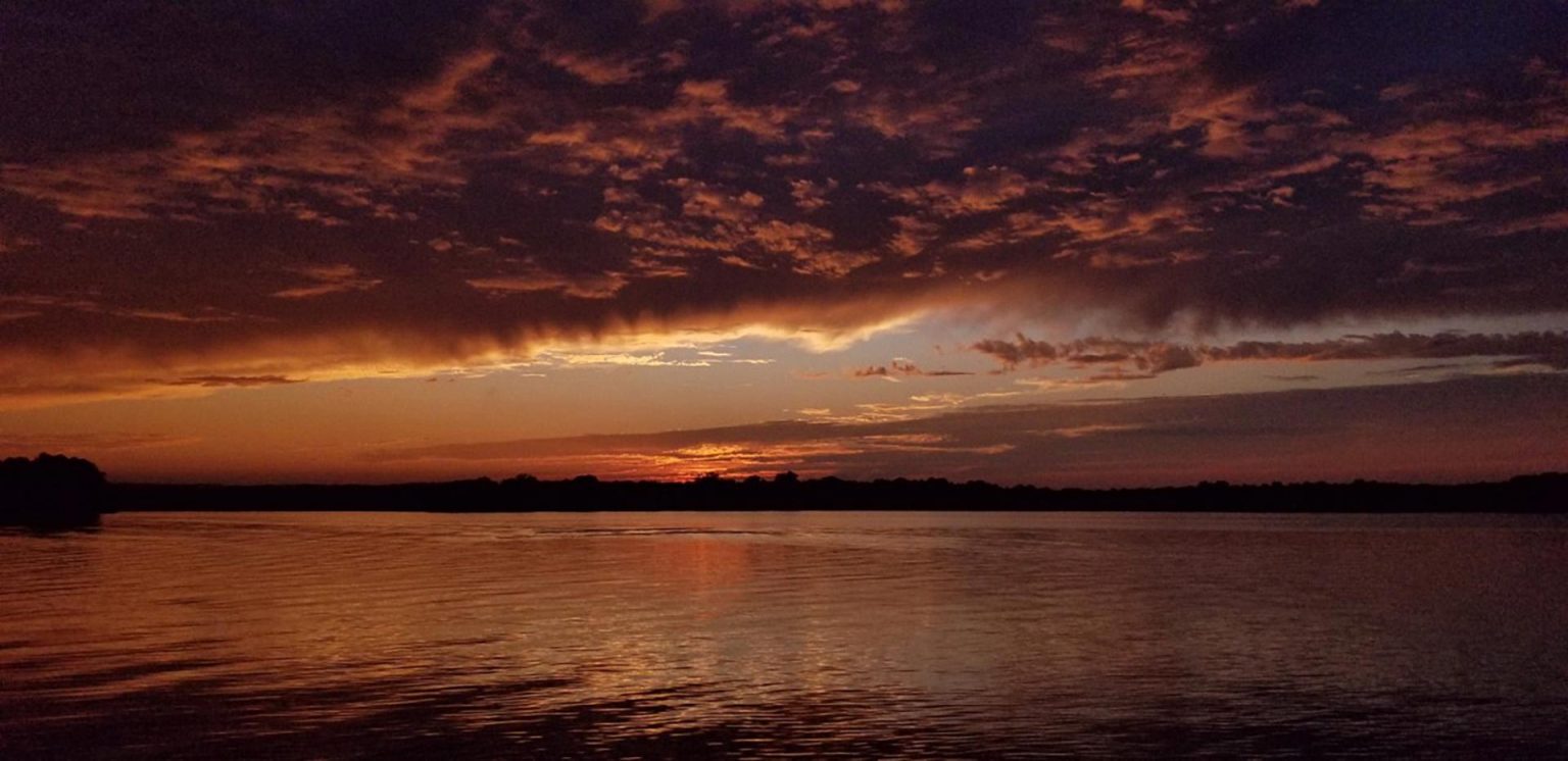 Columbia Eye - 803-779-3070